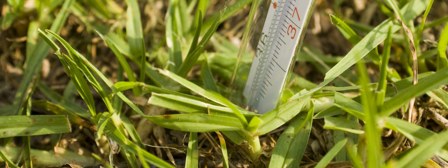 Innargi to build EU’s largest geothermal heating plant in Aarhus - A.P ...