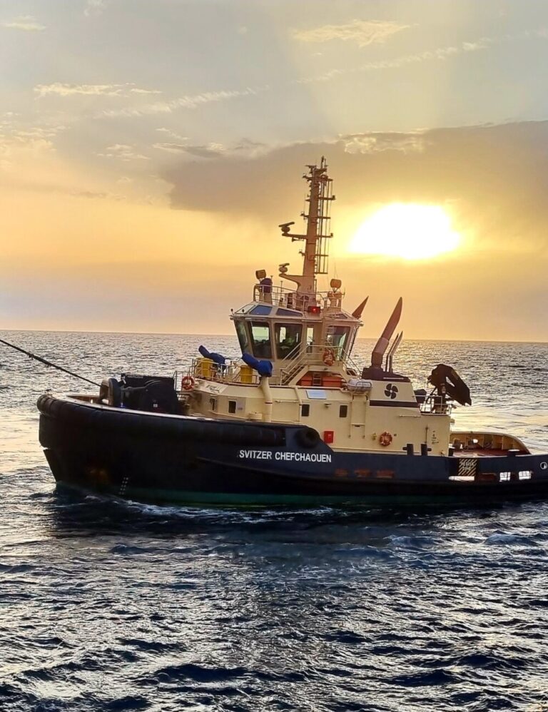 Innargi - A.P. Moller Holding